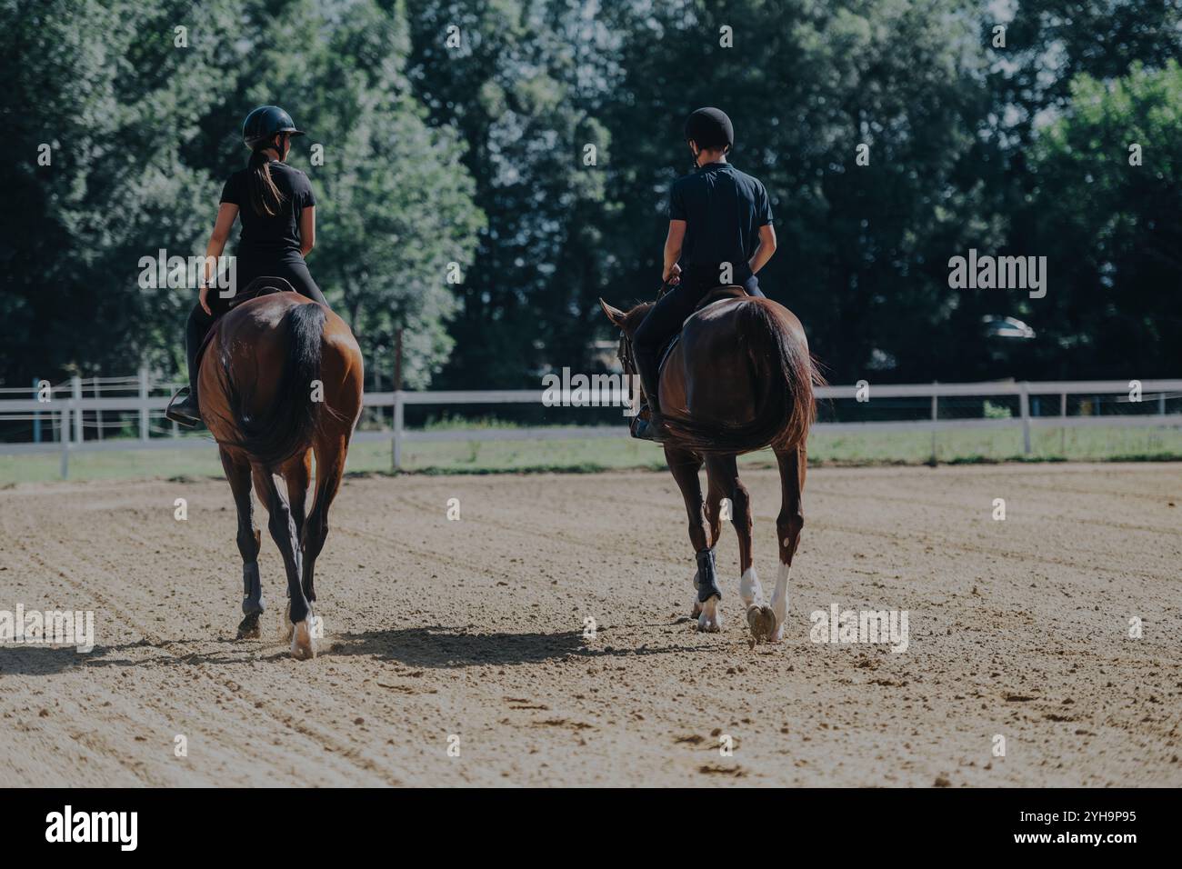 Two equestrians riding in horses hi-res stock photography and images ...
