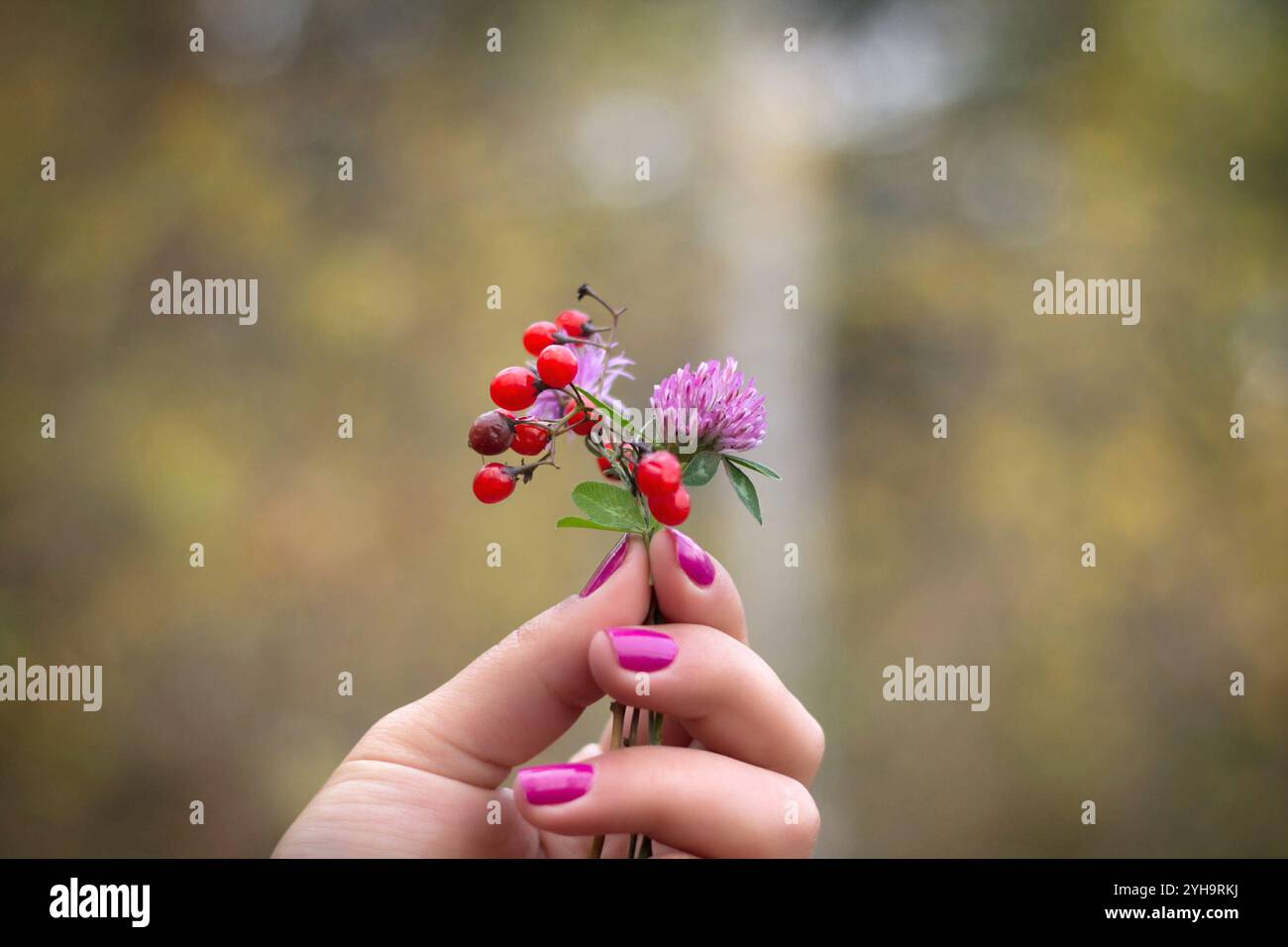 Still life bouquet forest hi-res stock photography and images - Alamy