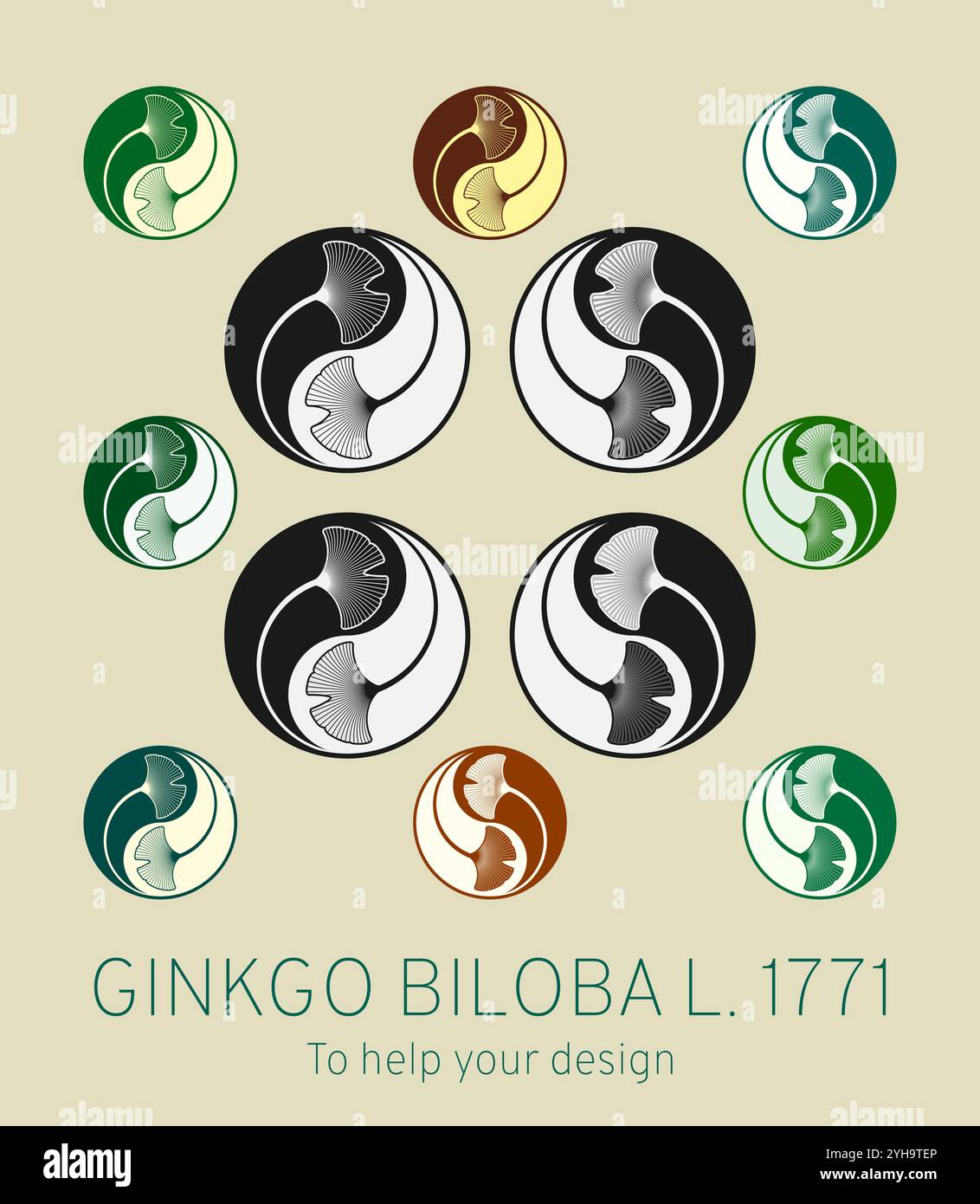 Set of vector illustrations of ginkgo biloba leaves using sacred ...