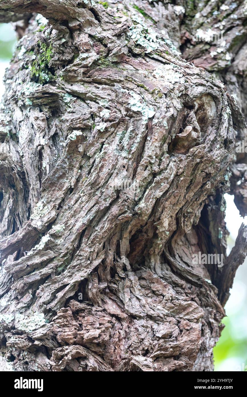 Texture rich backdrop hi-res stock photography and images - Alamy