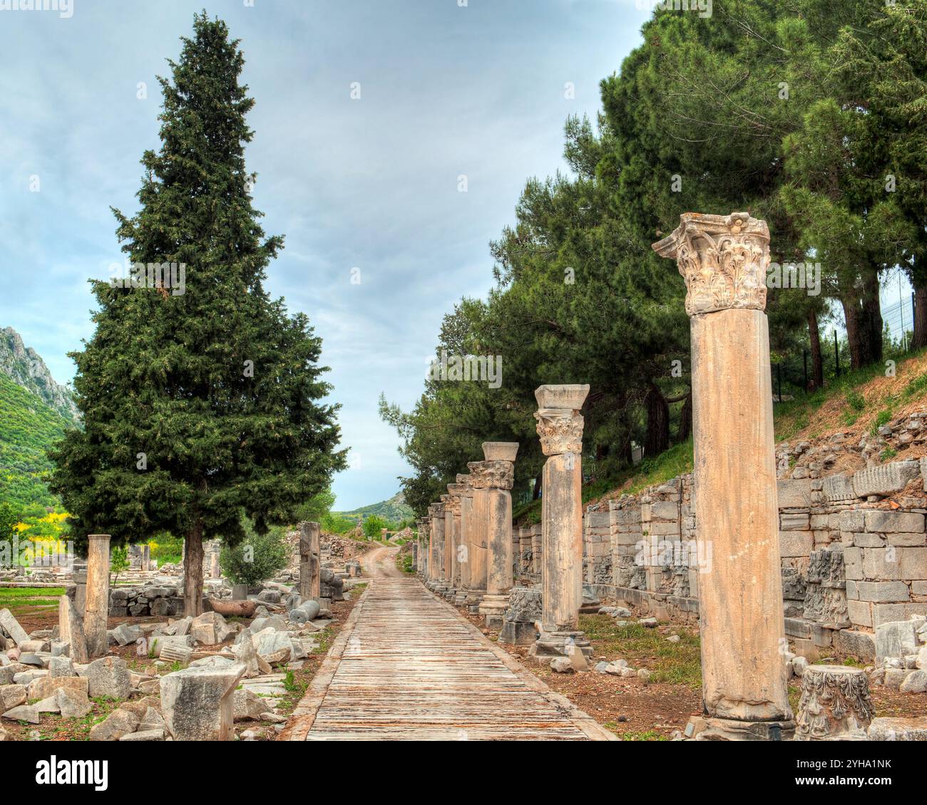 Scenic view of an ancient stone pathway lined with Corinthian columns ...