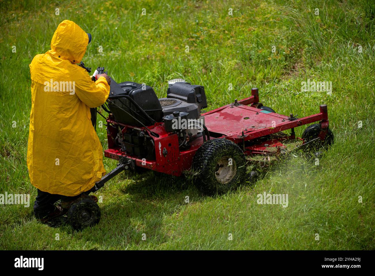 Grass clippers. Lawn care. Mowing lawn. Grass Background. Lawn mower ...