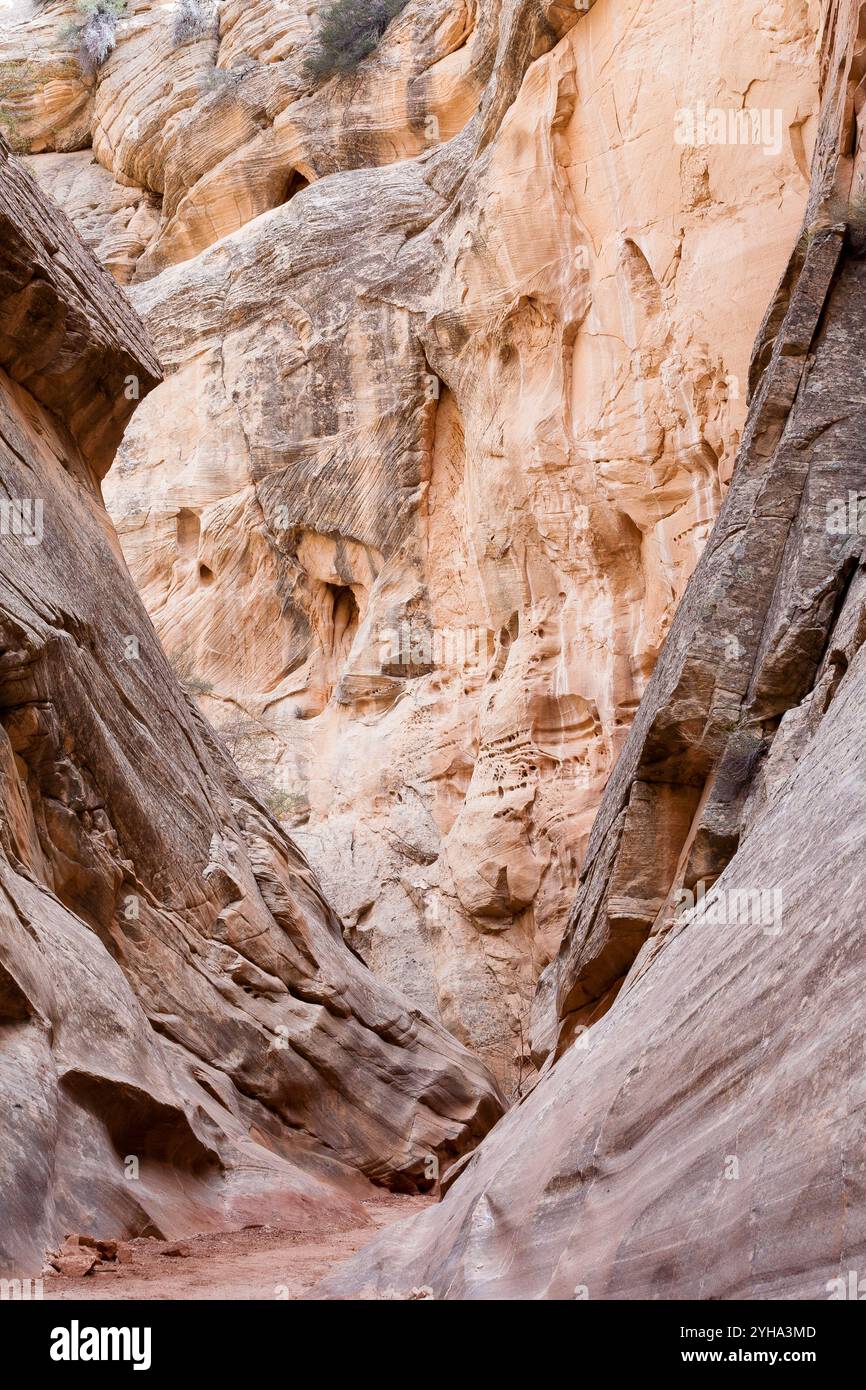 A hiking trail leading back into narrowly cut canyon walls in the ...