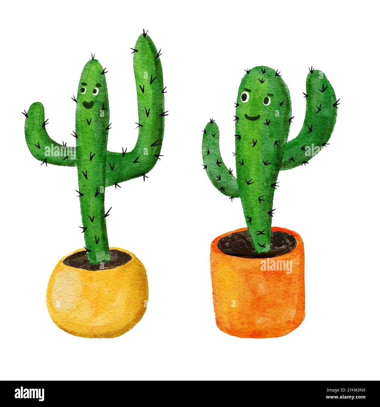 Mexican orange blossom pot hi-res stock photography and images - Alamy