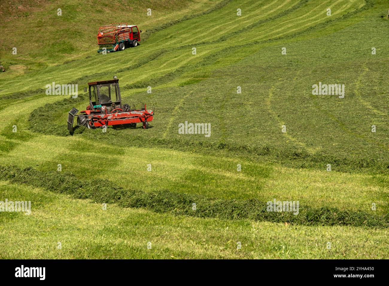 Tractor. Grass clippers. Lawn care. Mowing lawn. Grass Background. Lawn ...