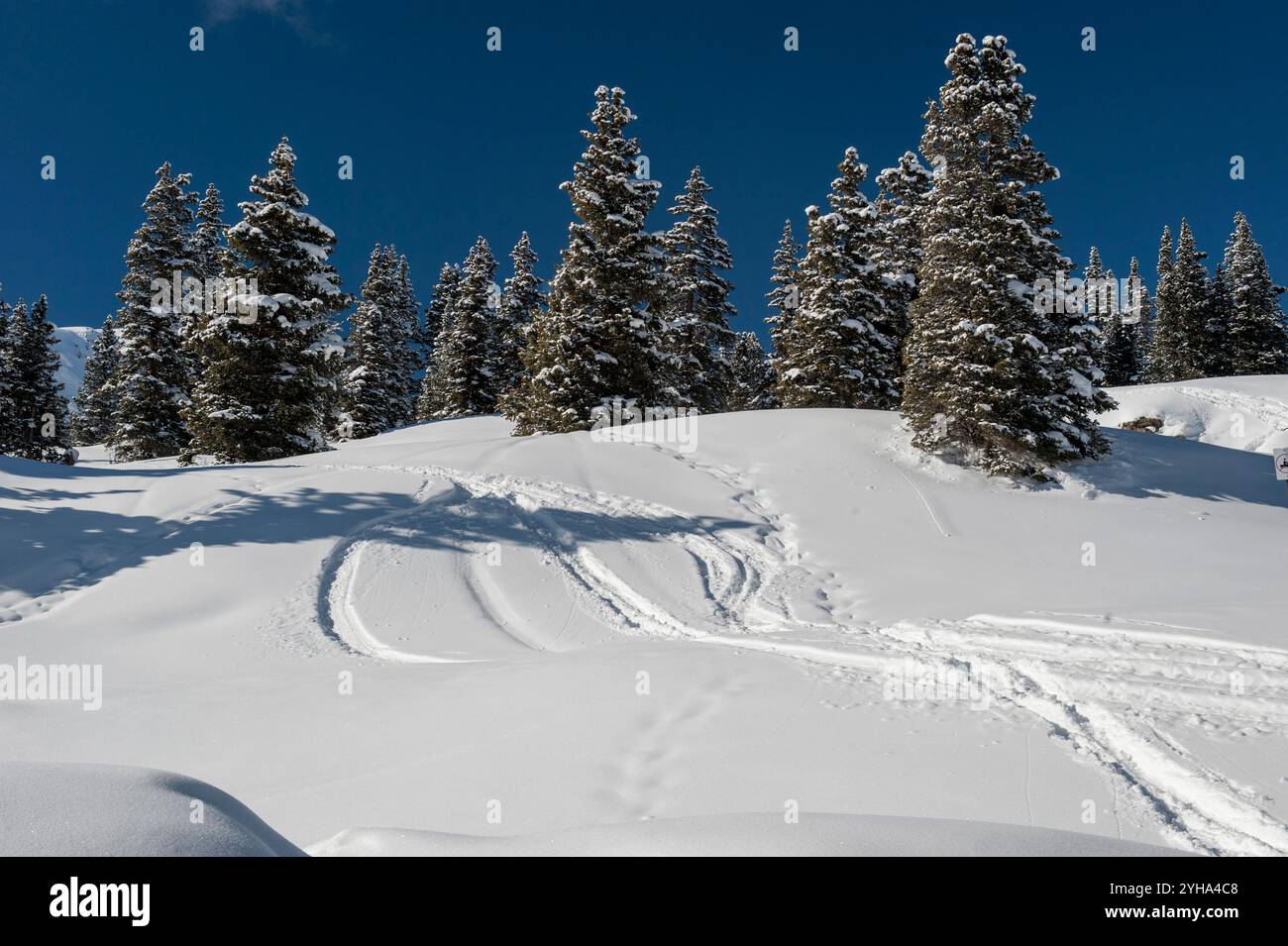Snowmobile tracks in fresh snow on Colorado's Red Mountain Pass Stock ...