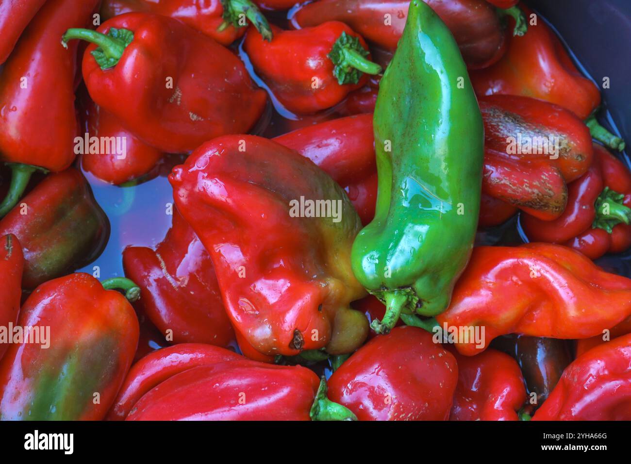 No paprika hi-res stock photography and images - Alamy