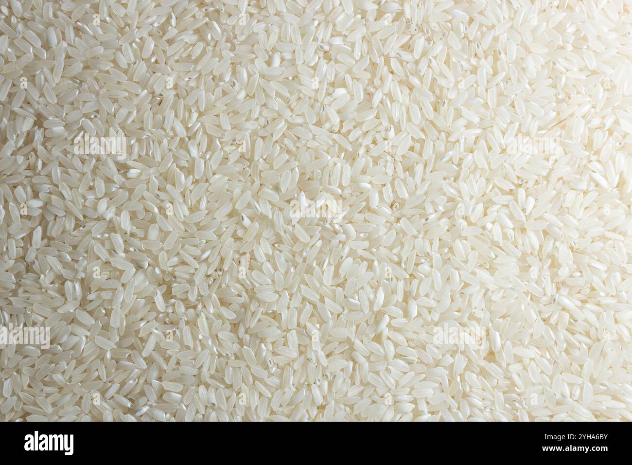 Dry Uncooked White Rice Background - Top View, Flat Lay. Scattered Raw ...