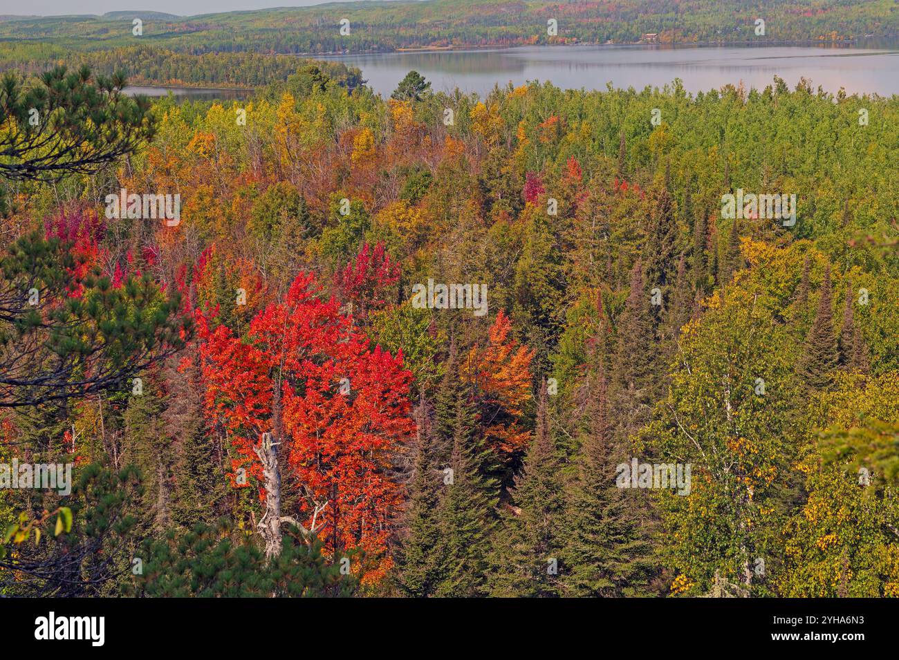 Autumn Starting to Show in the Great North Woods on Gunflint Lake in ...