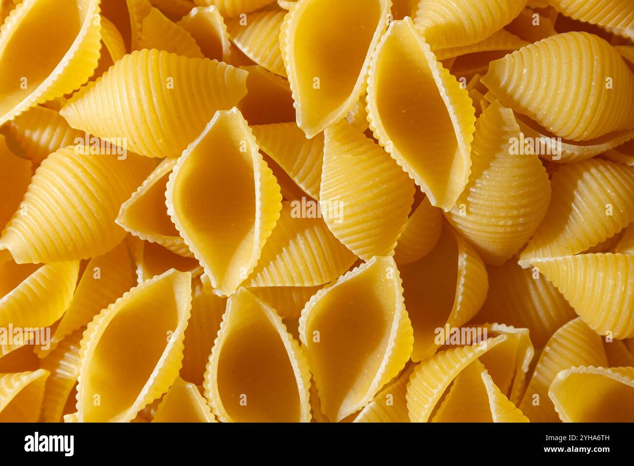 Uncooked Conchiglie Pasta: A Culinary Canvas of Conchiglie Macaroni ...
