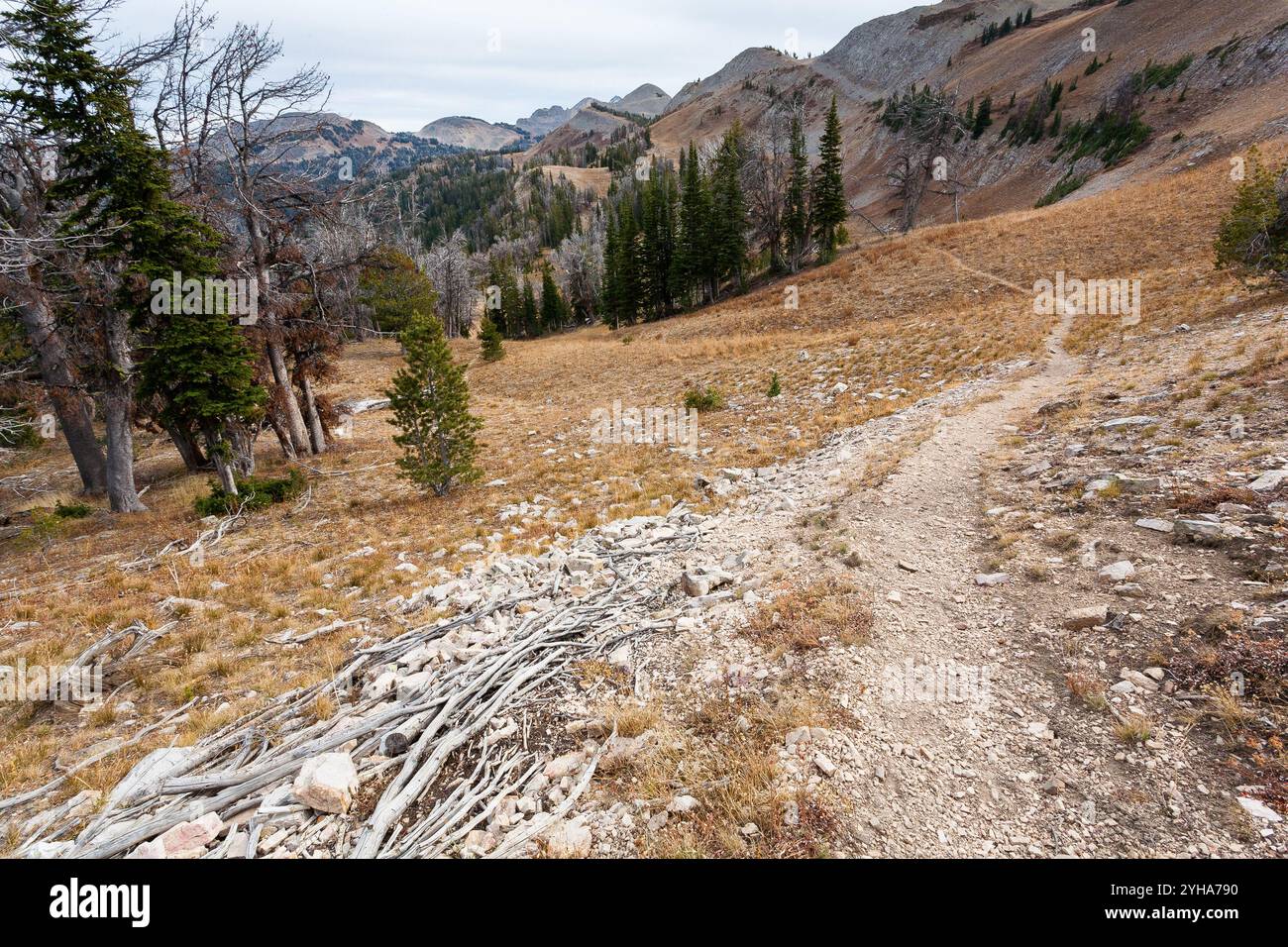Gros ventre wilderness wyoming hi-res stock photography and images - Alamy