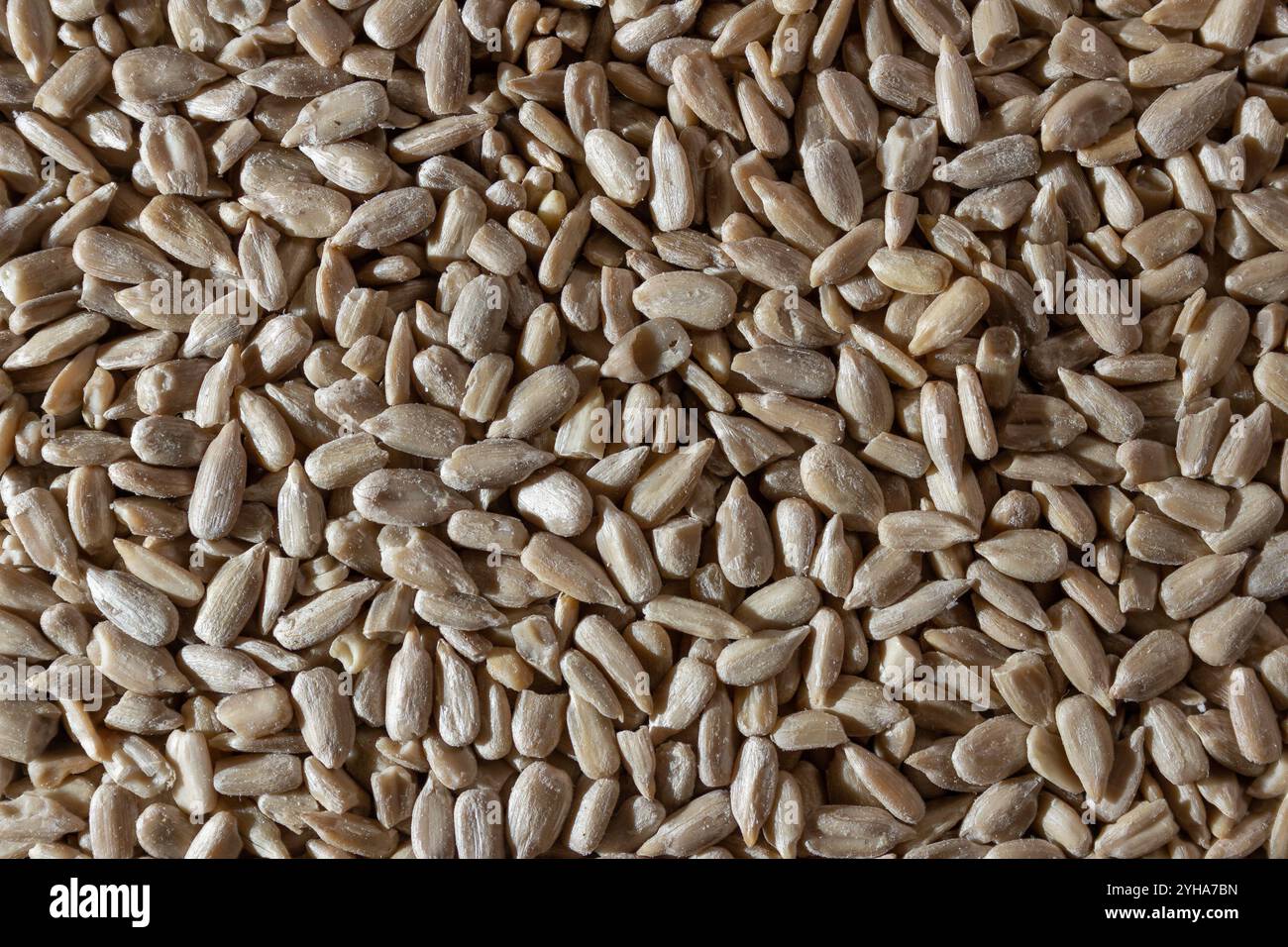 Peeled Sunflower Seeds Background: A Culinary Canvas of Shell-free ...