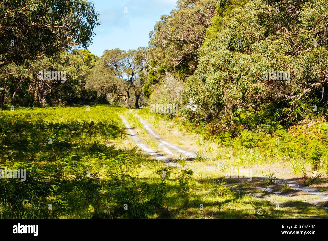 Long Point Circuit Walk in Australia Stock Photo - Alamy