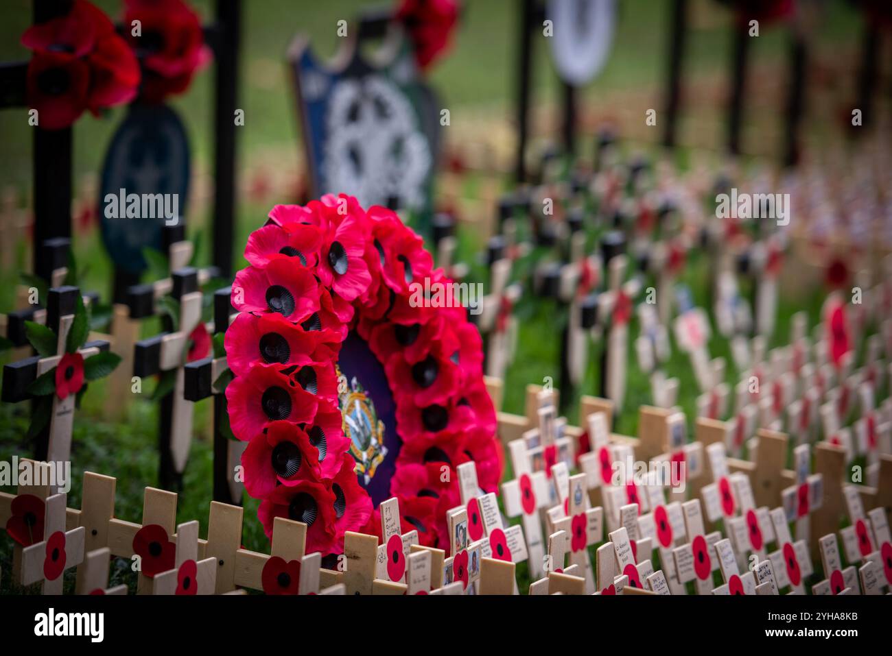 A memorial with poppies and crosses are displayed at Westminster Abbey ...