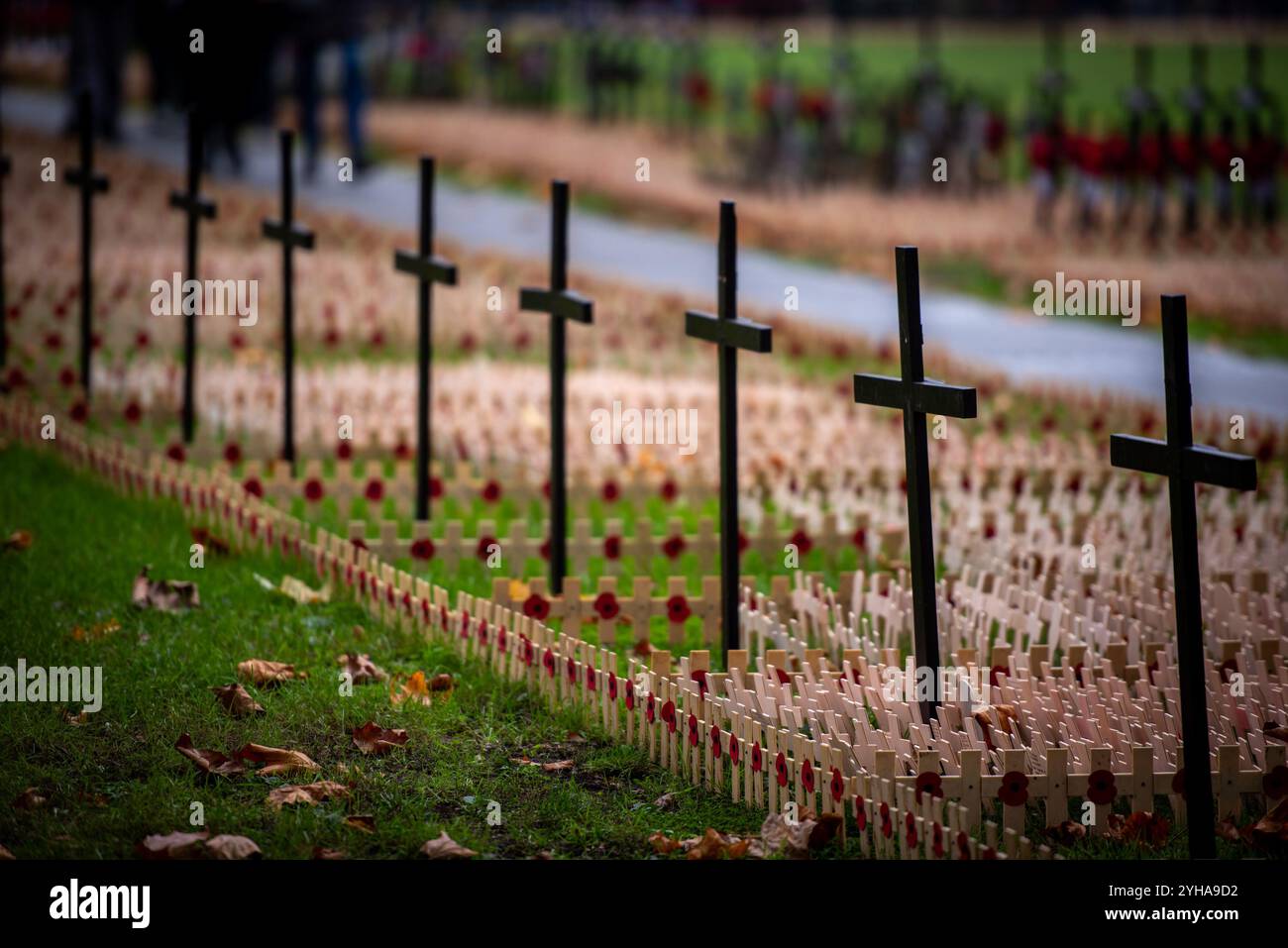 London, UK. 10th Nov, 2024. A memorial with poppies and large and small crosses are displayed at ...