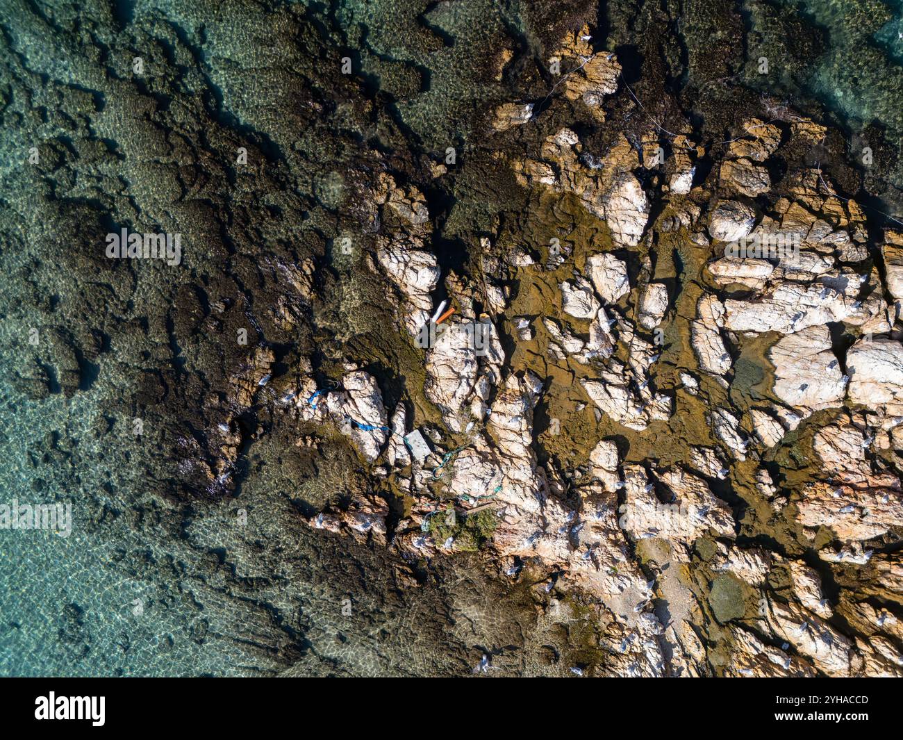 Reefs at the middle of the sea from the top, photo shoot from a drone ...