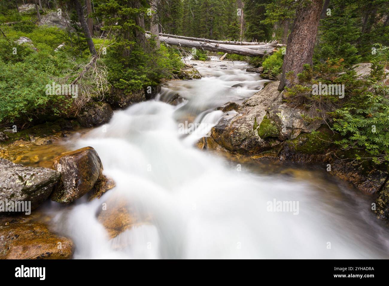 Cascade Creek flows from the North Fork into Cascade Canyon in Grand ...