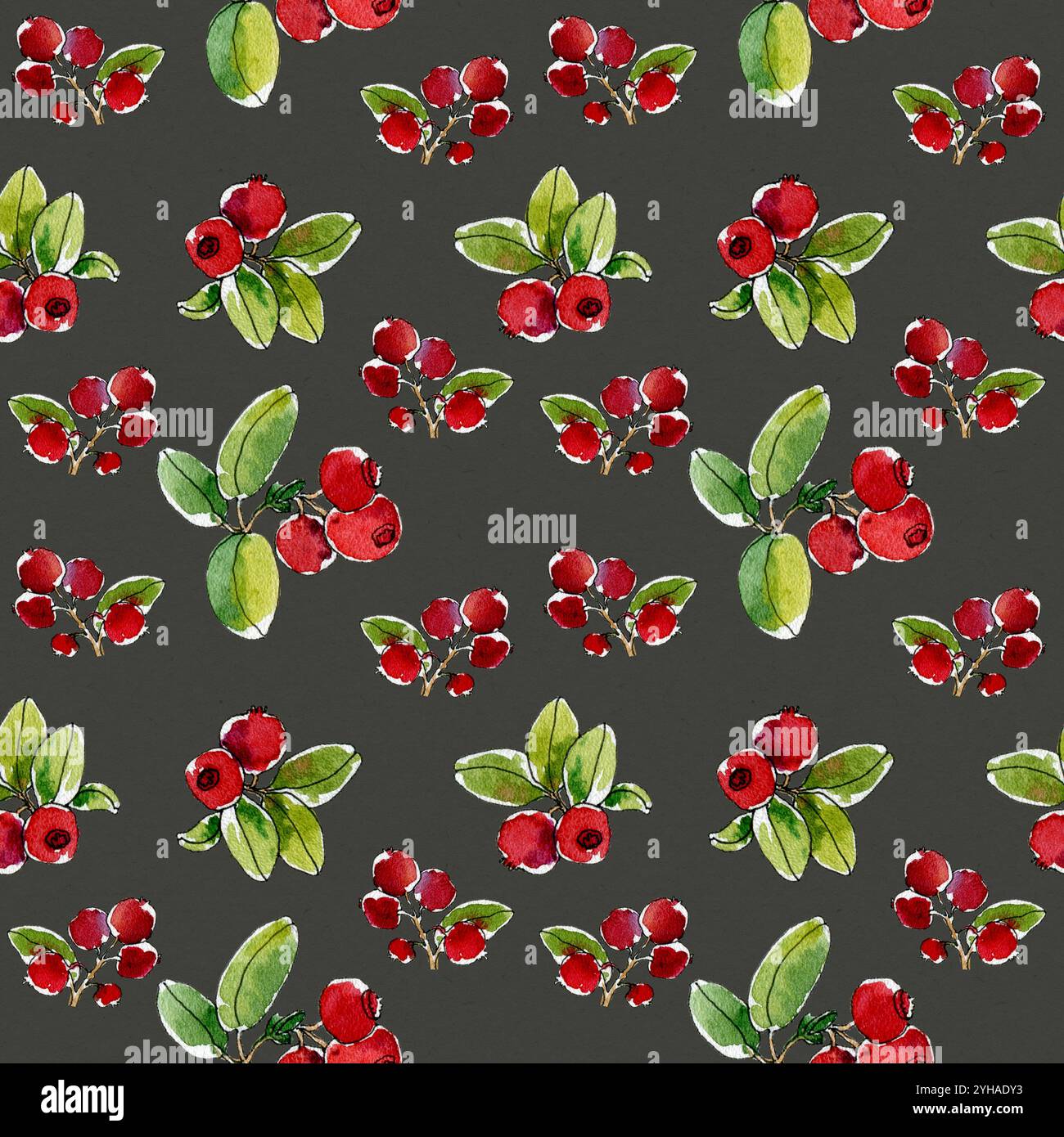 Lovely autumn botanical seamless background with cranberries, red berry ...