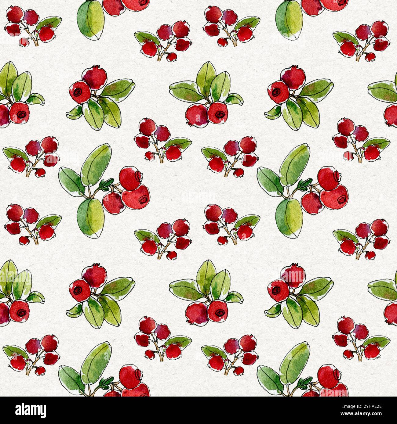 Lovely autumn botanical seamless background with cranberries, red berry ...