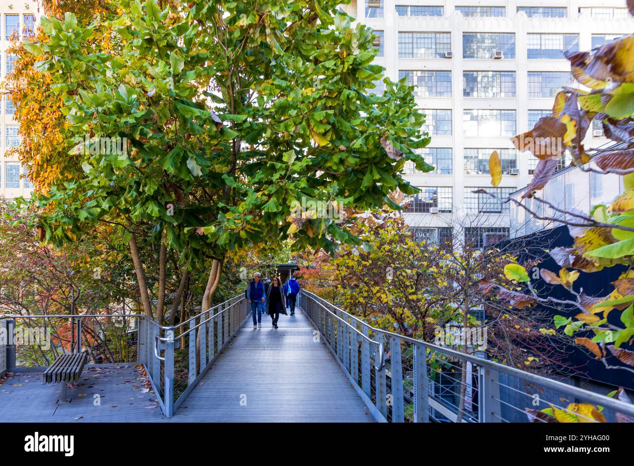 High Line New York, a public park built on a historic freight rail line elevated above the ...