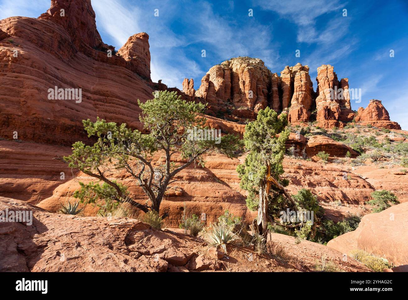 Tall sandstone spires rising high above the Broken Arrow Trail ...