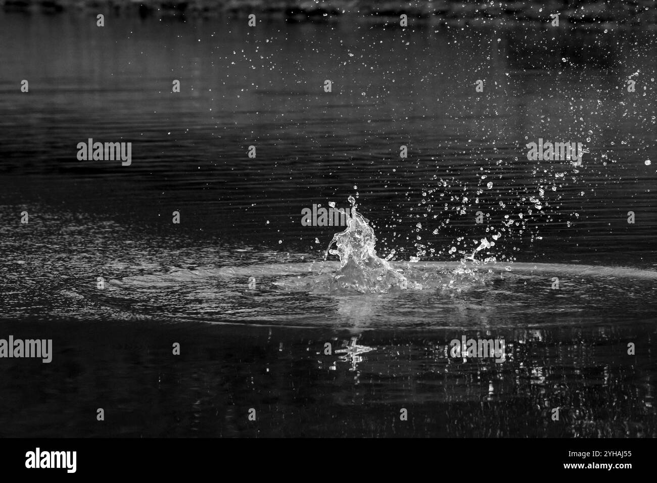 Water surface splash and ripples in monochrome Stock Photo - Alamy