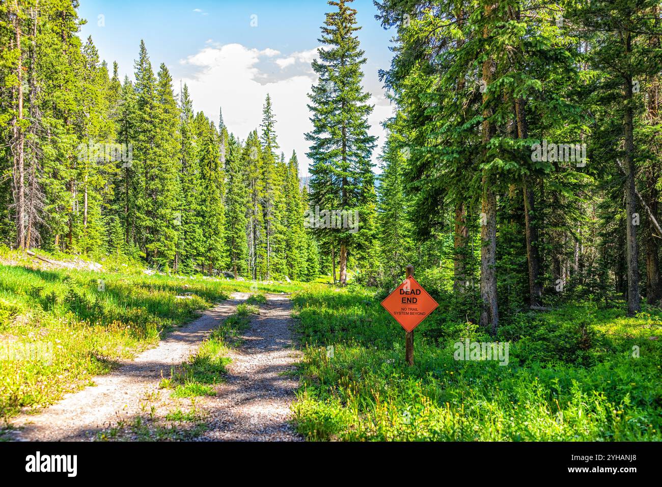 Royal Elk to Beaver lake hiking path trail in Beaver Creek ski resort ...