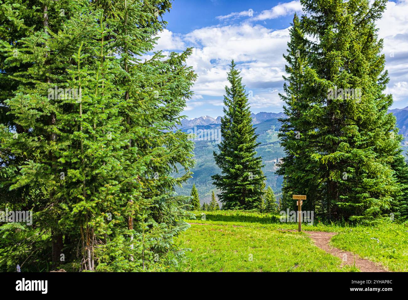 Vail summer in ski resort with hiking trail path, Colorado with ...