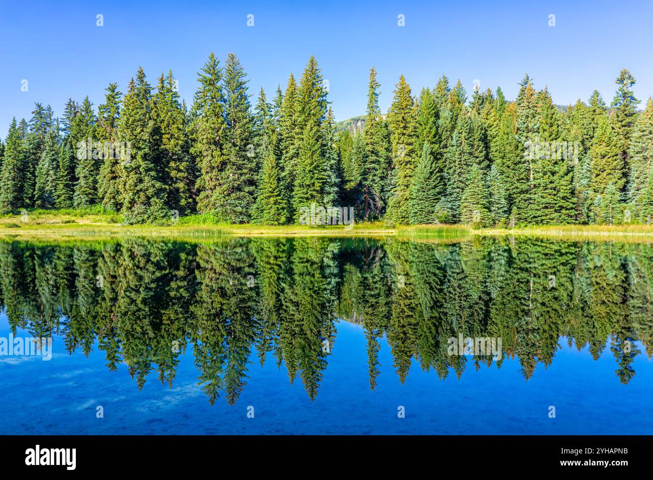 Emerald Lake Colorado with coniferous trees and mirror sky reflection ...