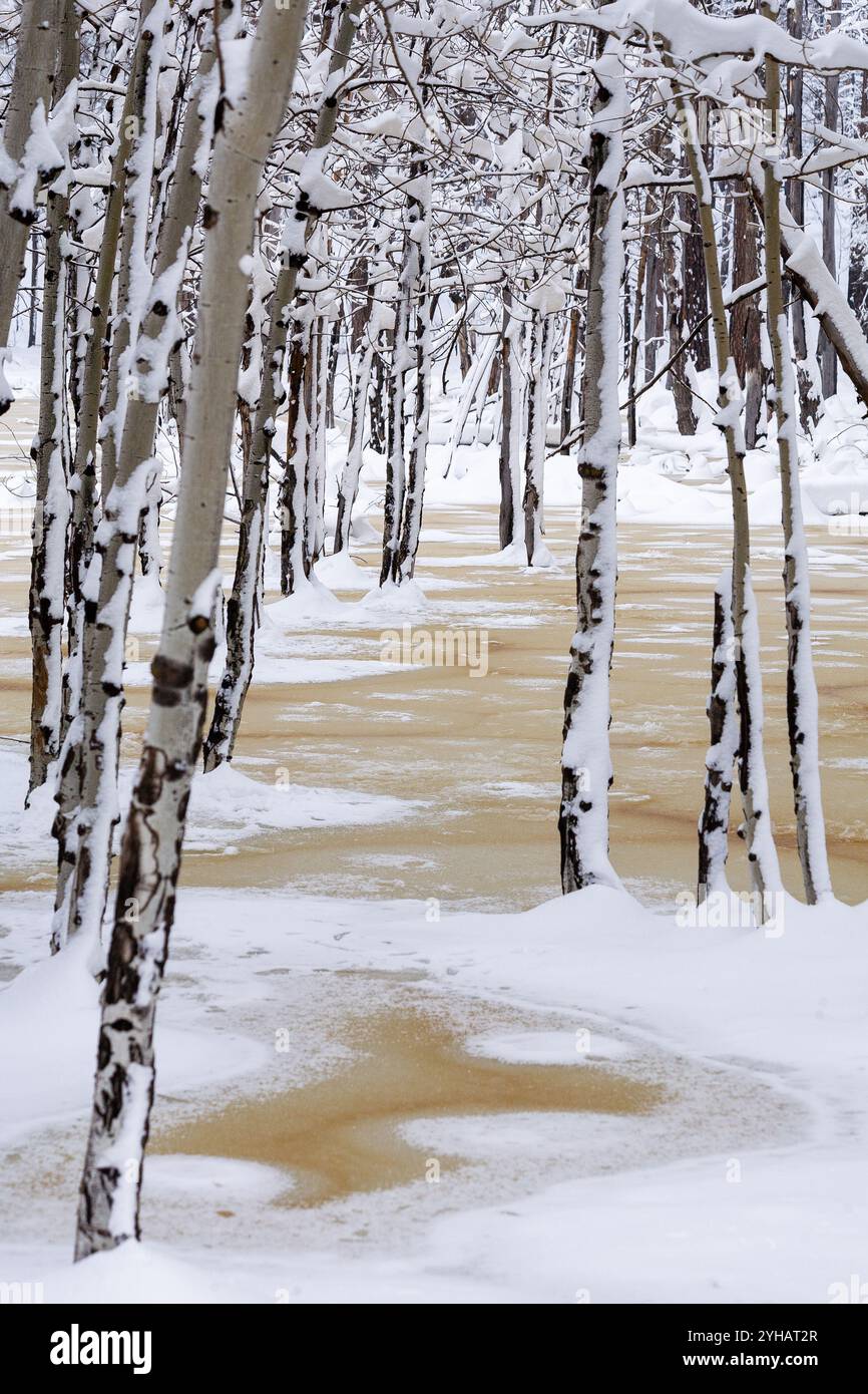Mogollon rim snow hi-res stock photography and images - Alamy