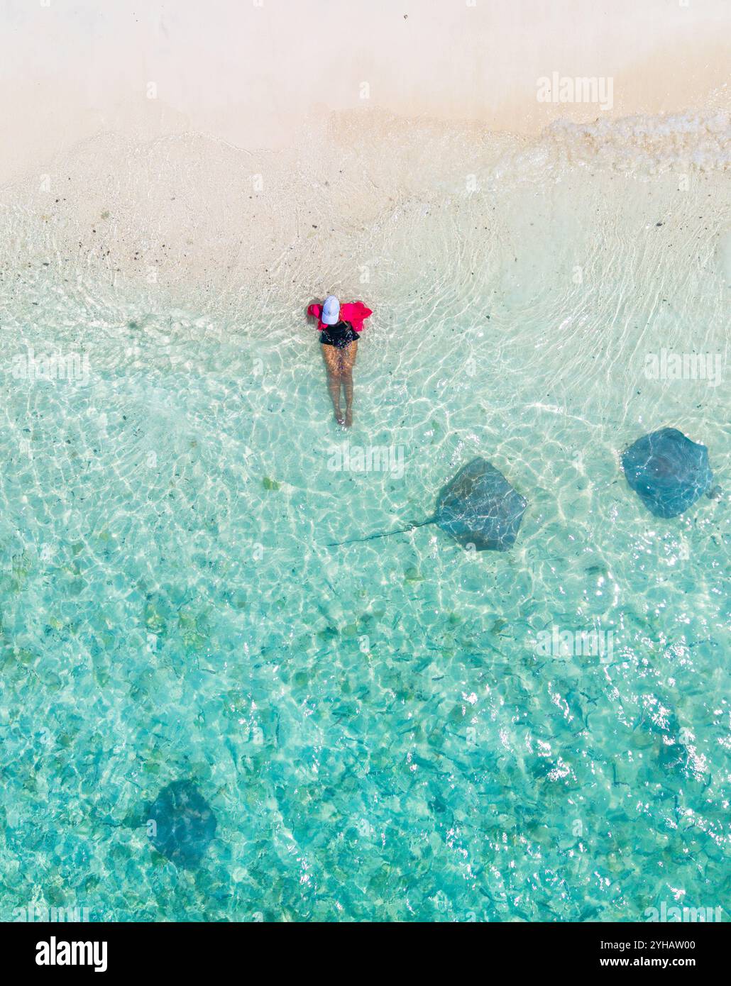 View of Stingrays on the beach in Fulidhoo island, Maldives Stock Photo ...
