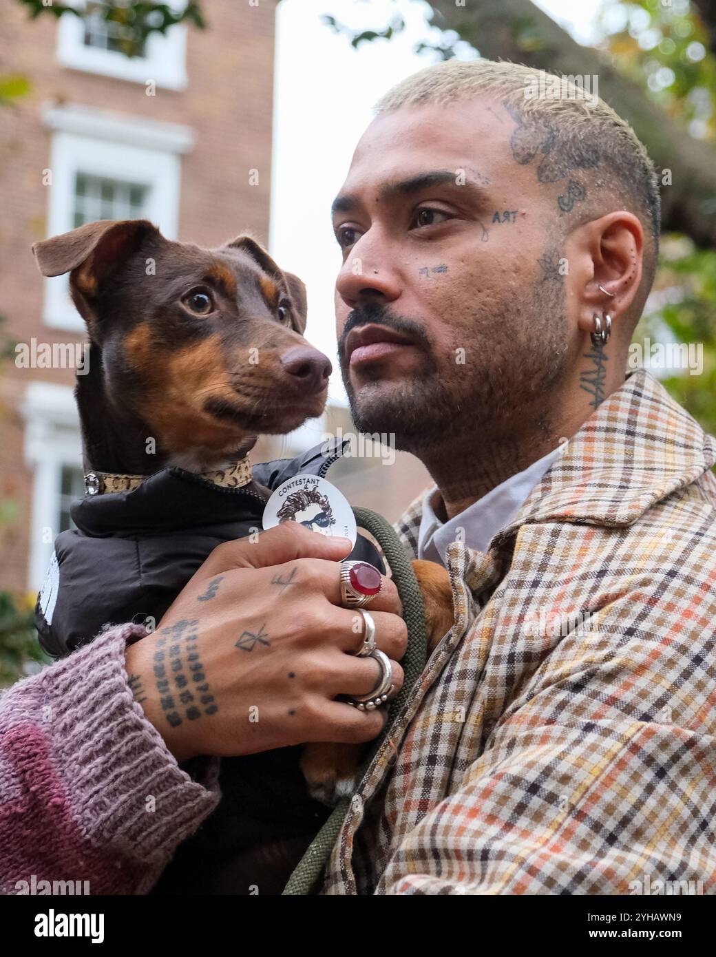 Hundreds gathered for a Harry Styles lookalike competition with a dozen ...