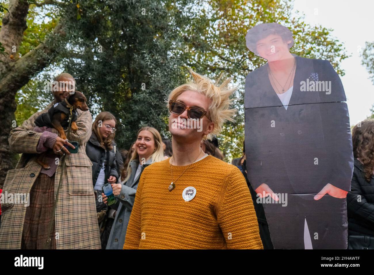 Hundreds gathered for a Harry Styles lookalike competition with a dozen ...