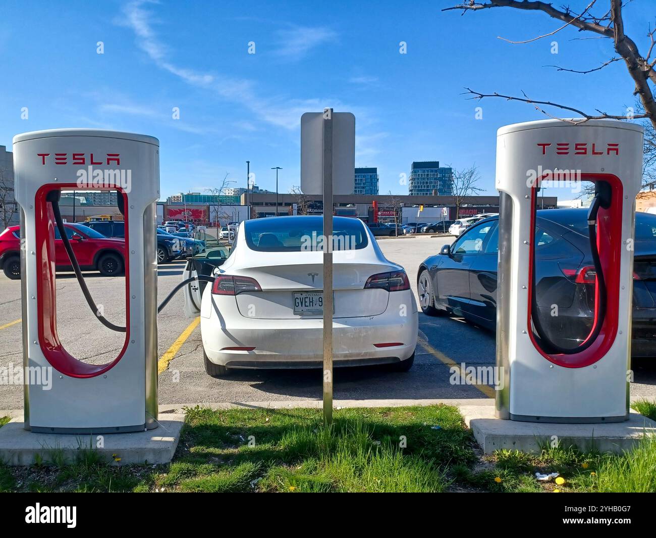 Toronto, ON, Canada – May 6, 2024: View at the logo of Tesla company ...