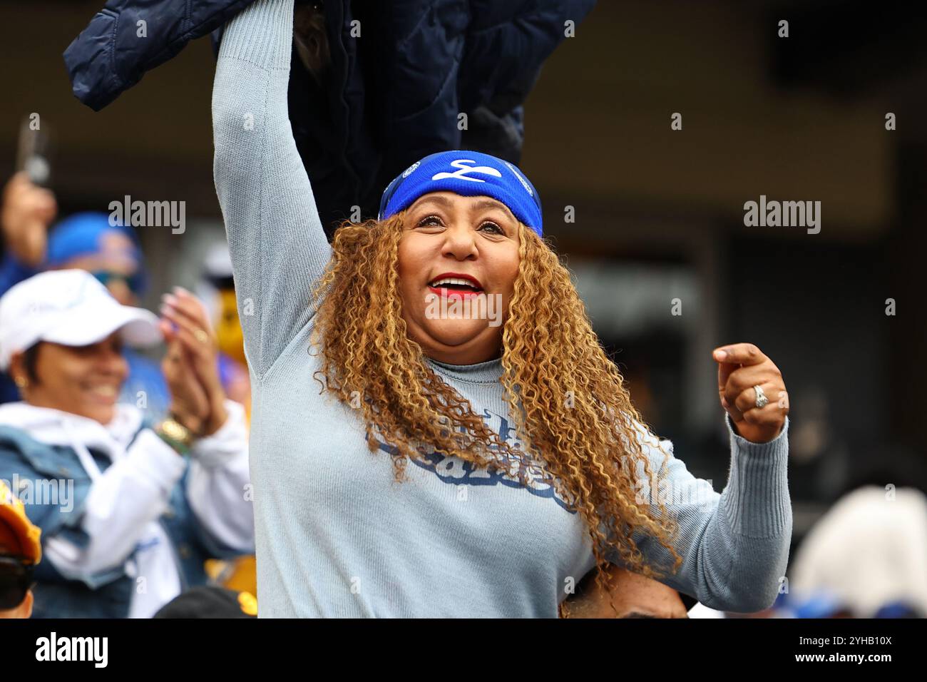 Baseball logo los tigres hi-res stock photography and images - Alamy