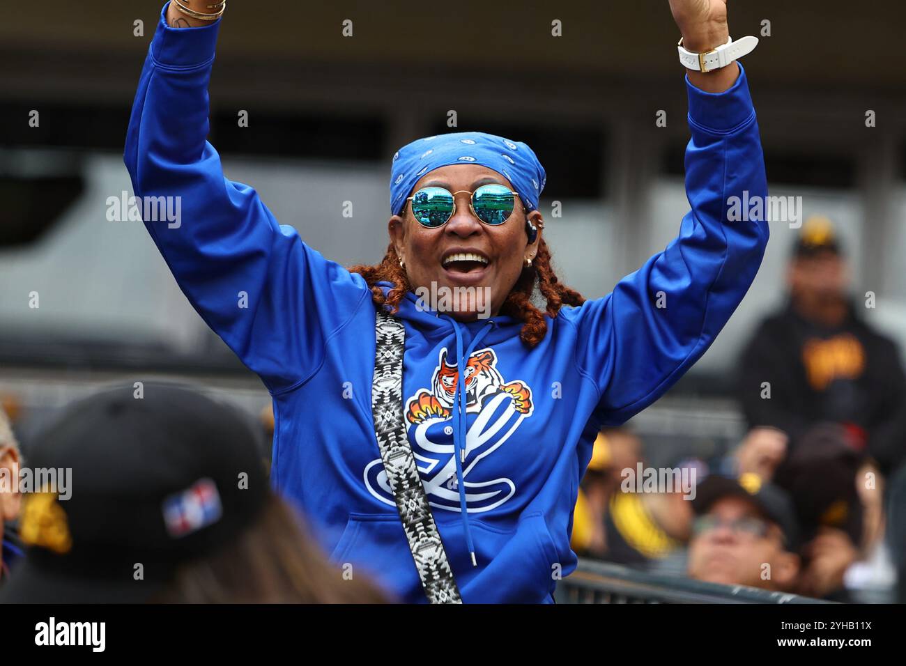 Los tigres del licey hi-res stock photography and images - Alamy
