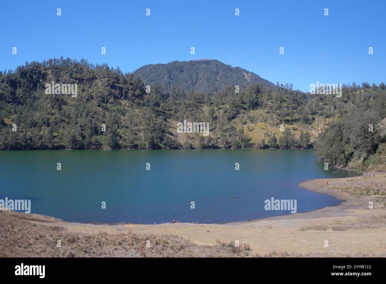 The beauty of Ranu Kumbolo, a volcanic lake located at an altitude of ...