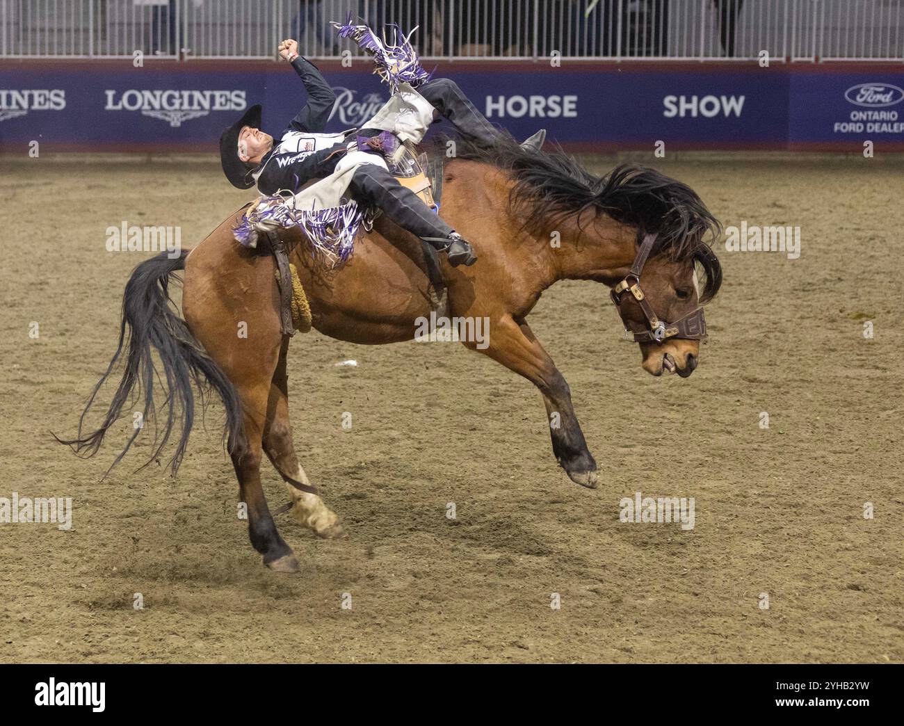 Toronto, Canada. 10th Nov, 2024. Cowboy Spur Lacasse competes during ...