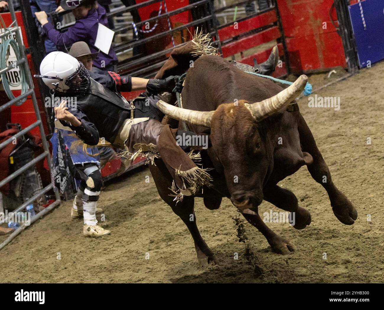 Rodeo of austin hi-res stock photography and images - Alamy