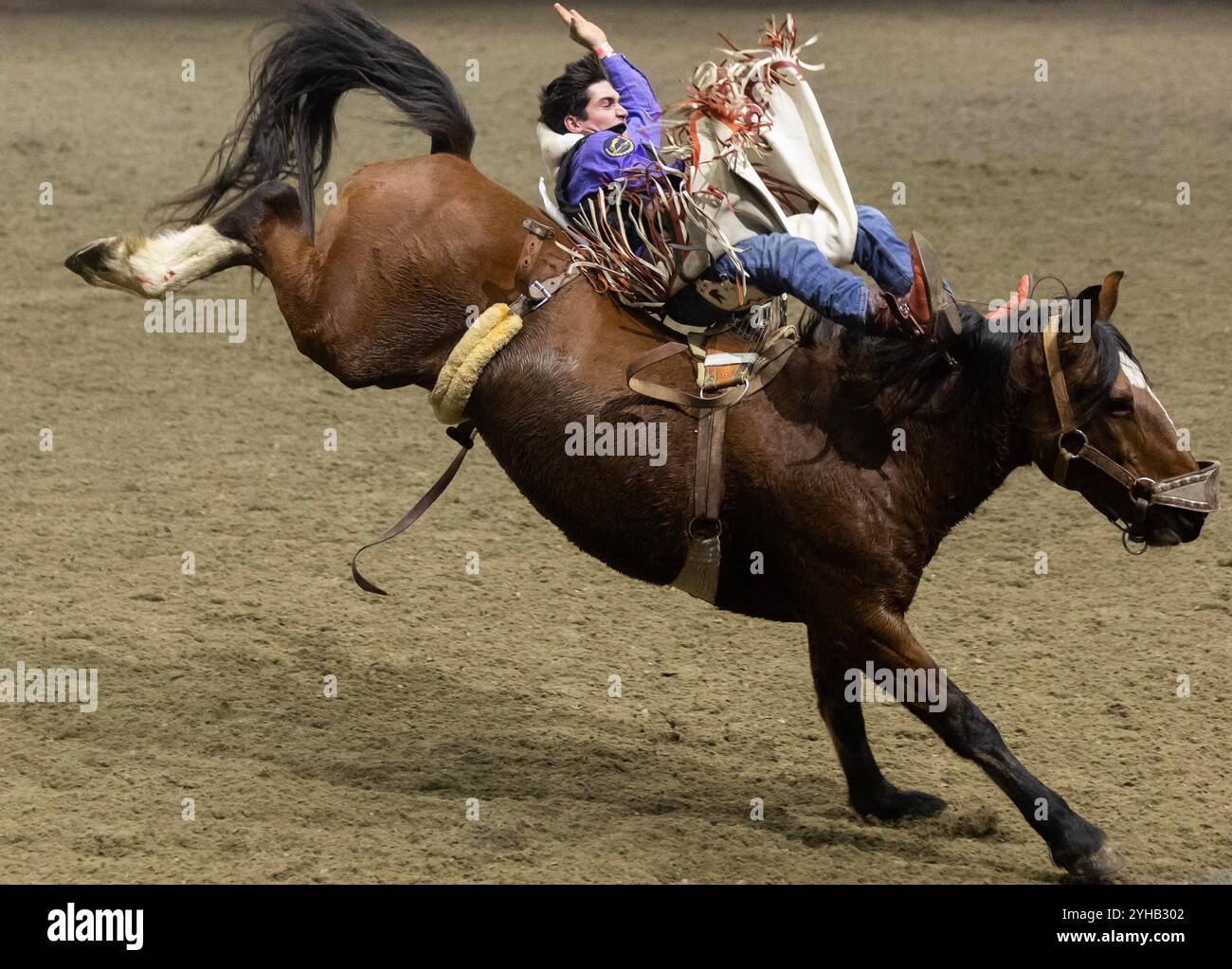 Spencer parker hi-res stock photography and images - Alamy