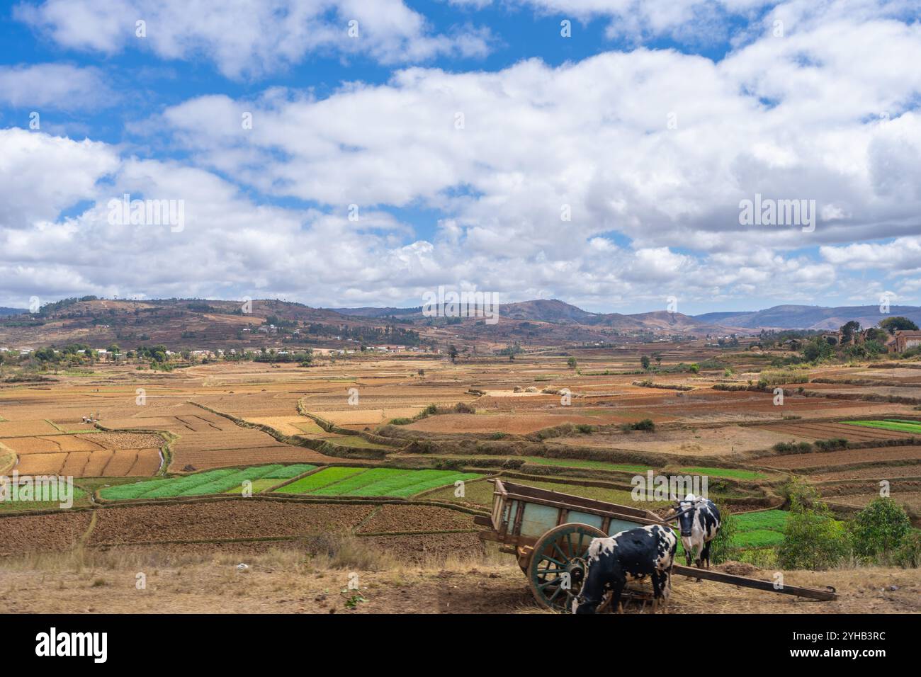 A tranquil rural scene in Madagascar, featuring green and brown ...
