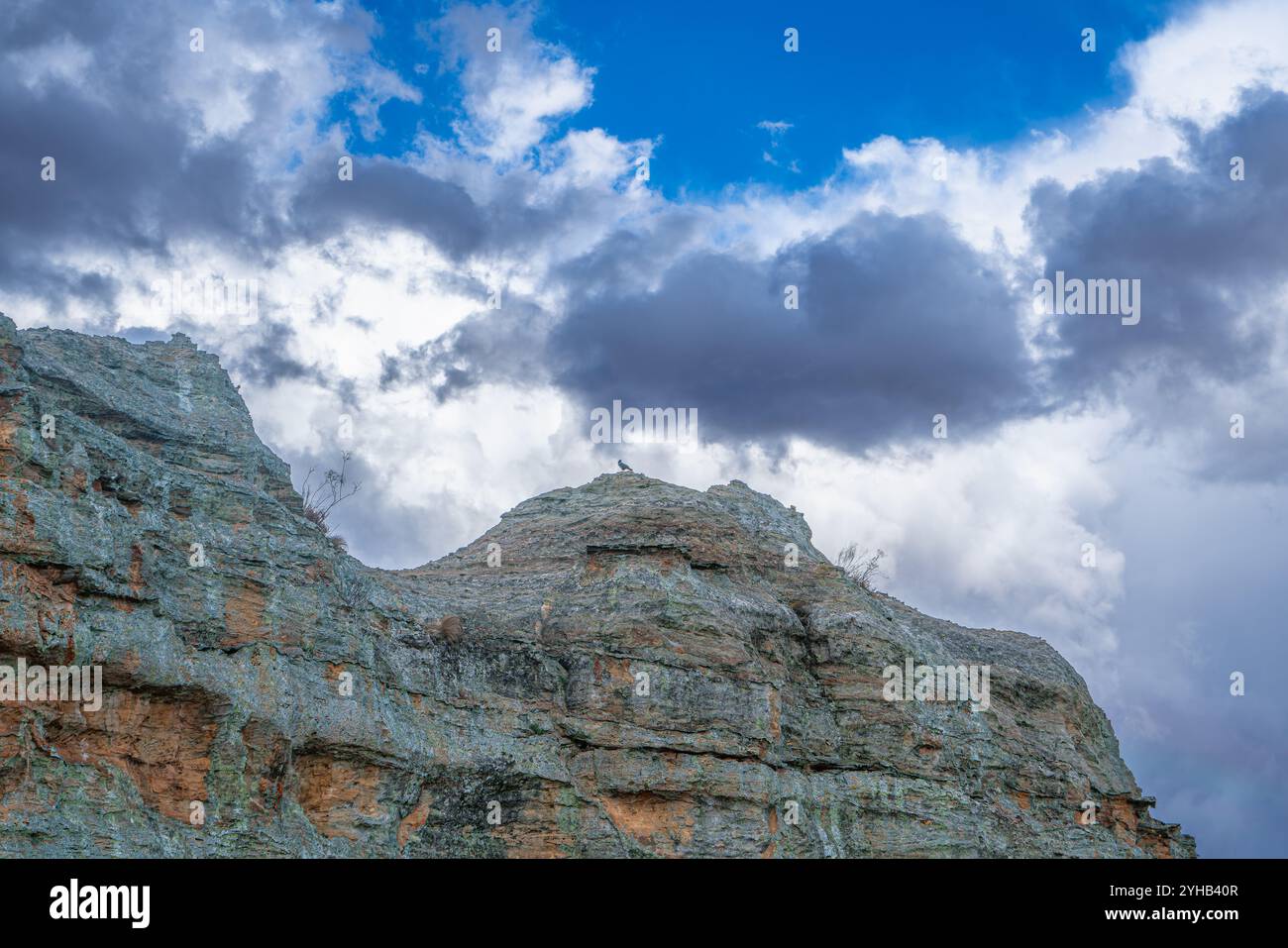 Weathered sandstone cliff with monster-like silhouette, covered in ...