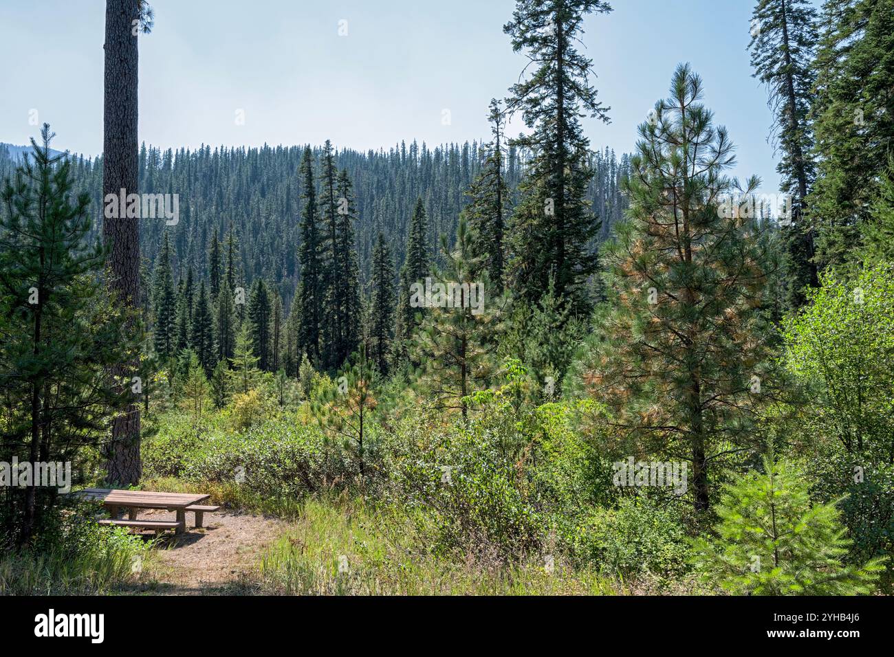 A picnic table at a campsite at the Jerry Johnson campground near ...
