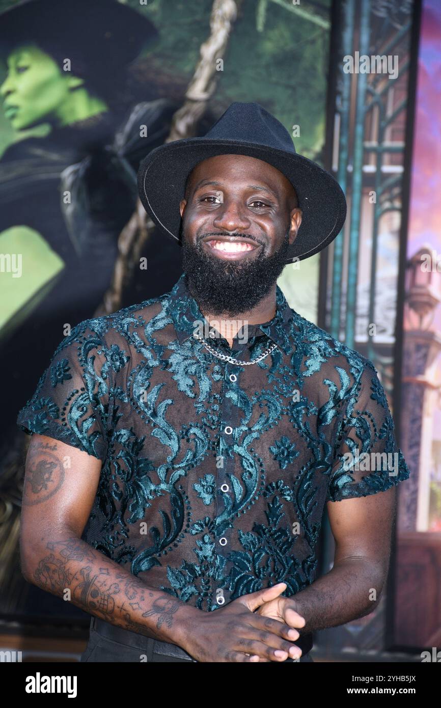 Los Angeles, California, USA 9th November 2024 Juju Green attends The Los Angeles Premiere of ...