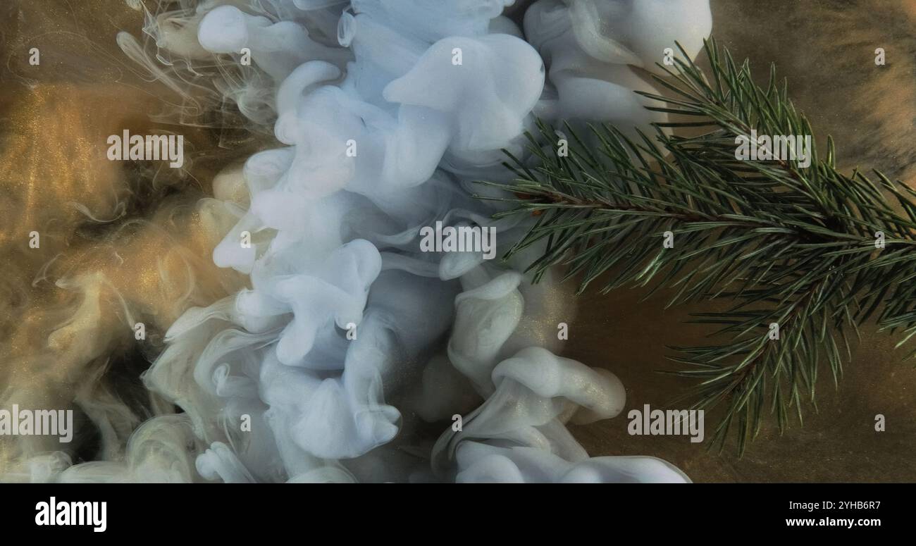 Mist fir branch vapor cloud hi-res stock photography and images - Alamy