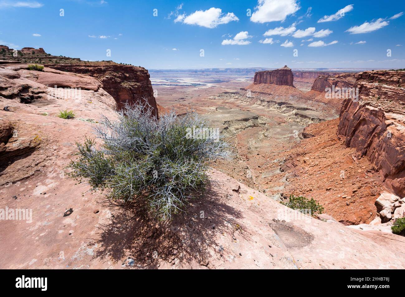 Murphy overlook trail hi-res stock photography and images - Alamy