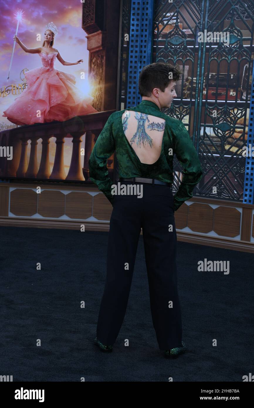 Los Angeles, California, USA 9th November 2024 Tyler Warwick attends ...