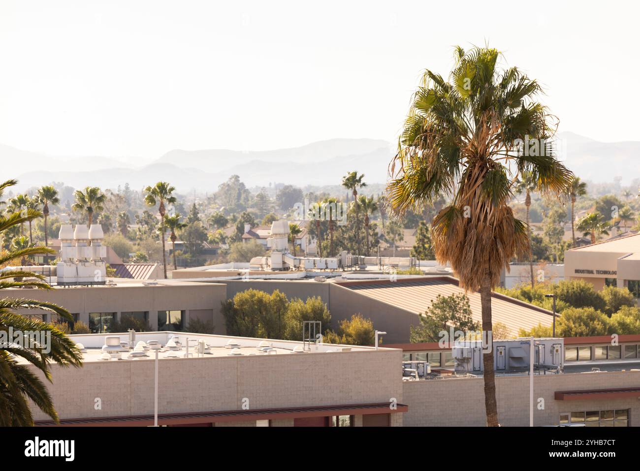 Norco, California, USA - November 9, 2024: Afternoon sun shines on the ...