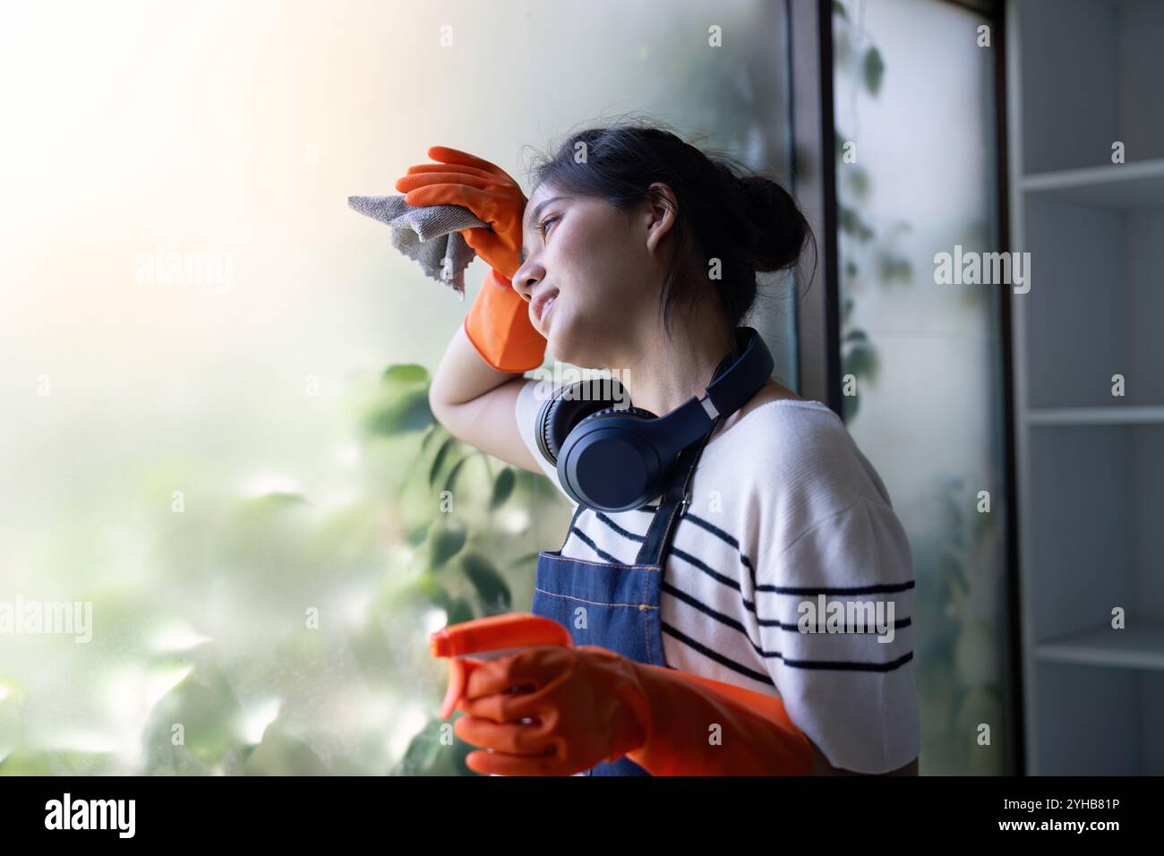 Dedicated Cleaner Polishing Windows Precision Home Cleaning Concept ...