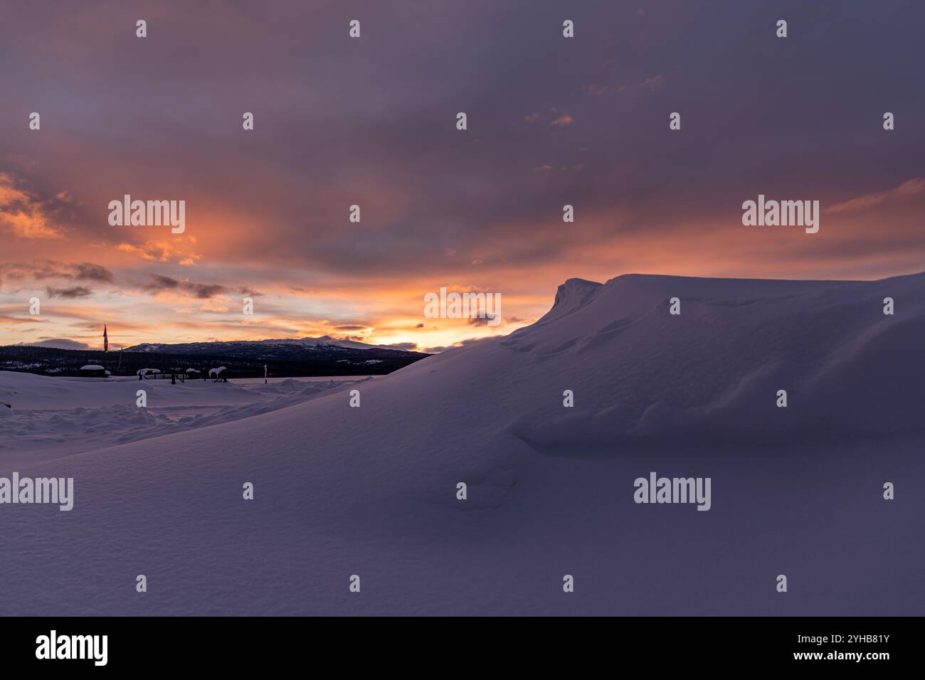 A pink winter sunrise during March with purple pastel scenes in the ...